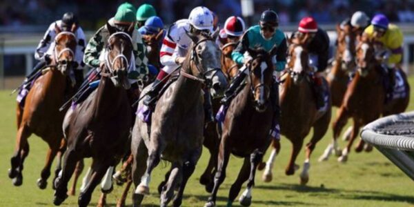 How to Read Horse Racing Form: Guide for Australian Punters