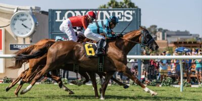 How to Read Horse Racing Form: Guide for Australian Punters